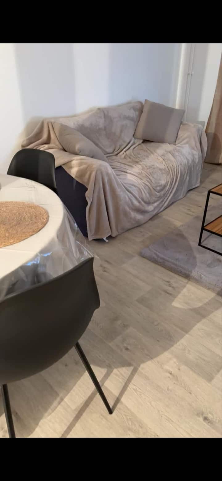 Appartement T3 Spacieux - Thonon-les-Bains
