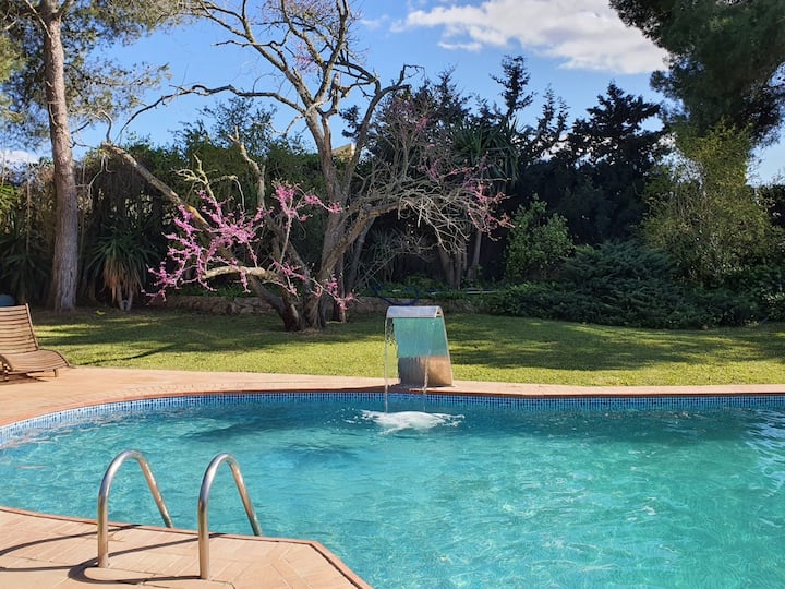 Thai Jardines - Palma de Majorque