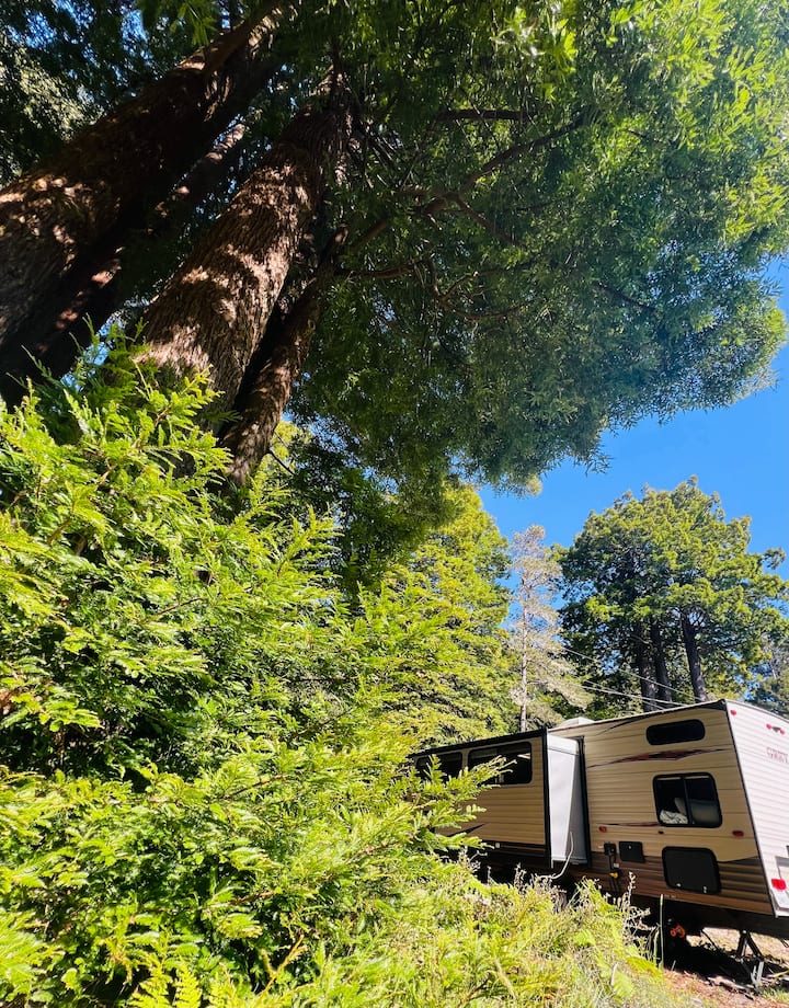 Cozy Camper In The Redwoods - Mendocino, CA