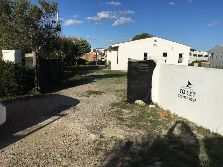 Southern Whales - Arniston