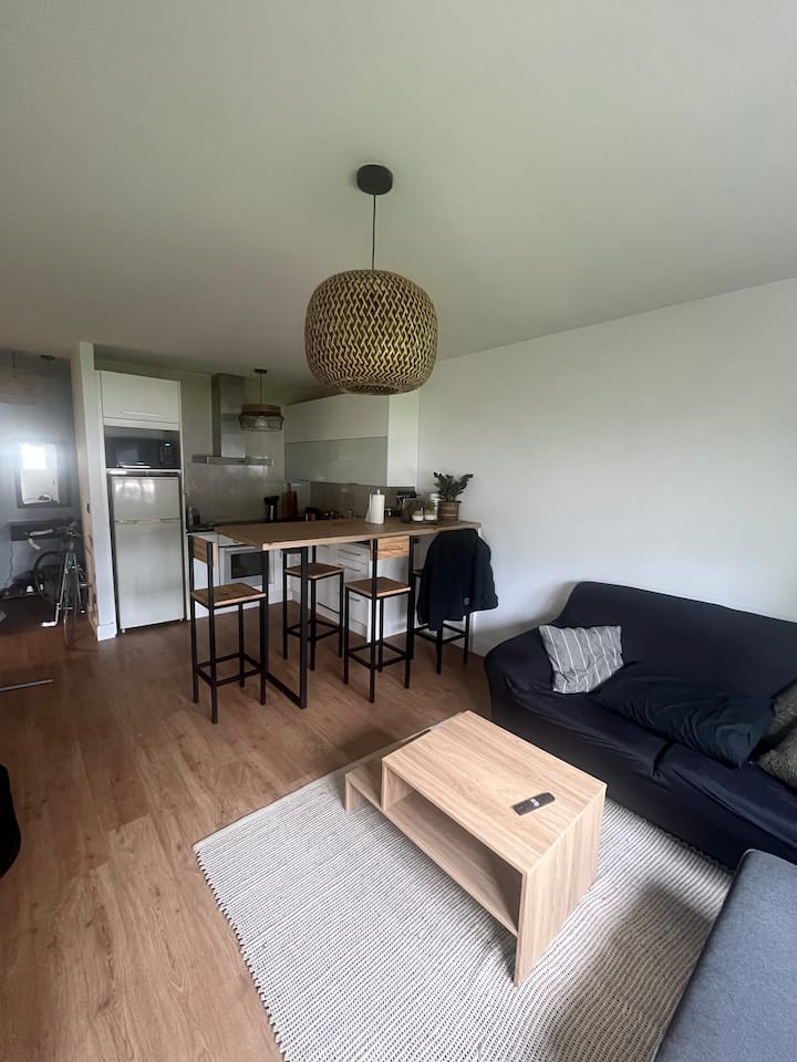 Appartement Centre-ville - Hondarribia
