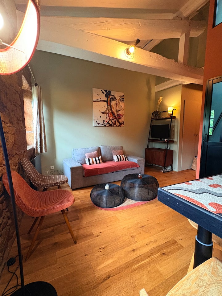 Duplex Cosy Avec Parking – Saint-cyr-au-mont-d’or - Tassin-la-Demi-Lune