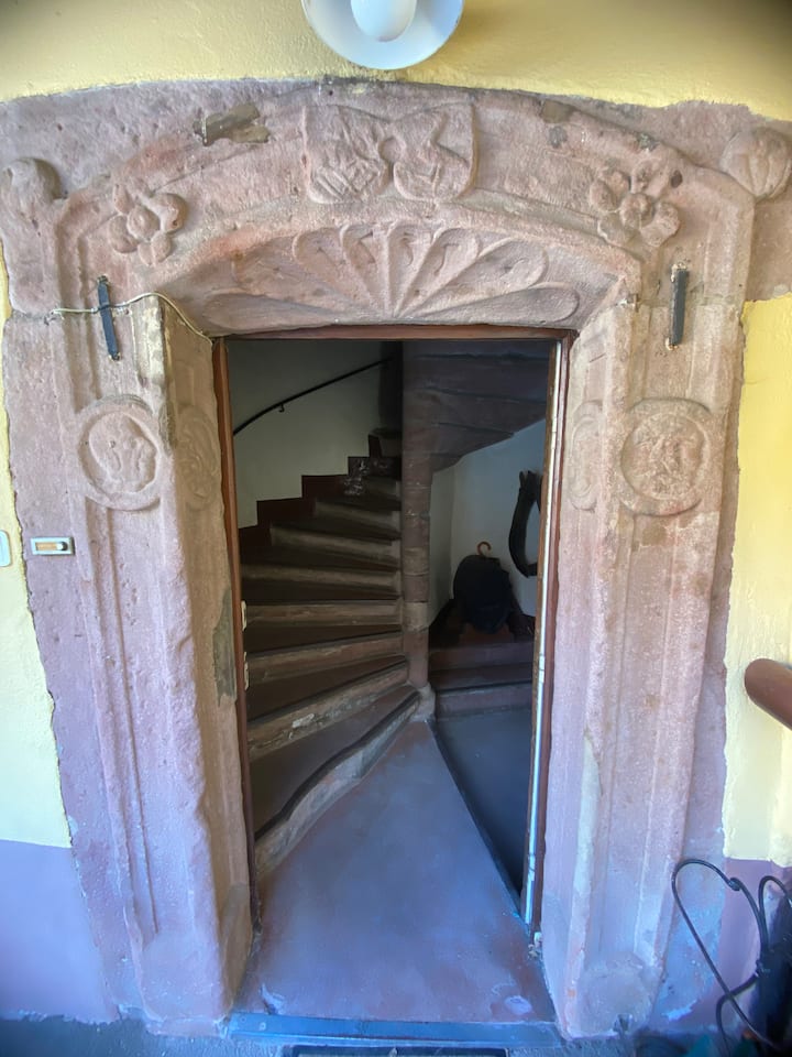 Gîte Du 25 - Ribeauvillé
