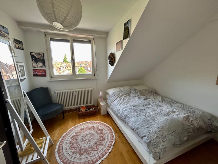Bright Double Guest Room - Basel