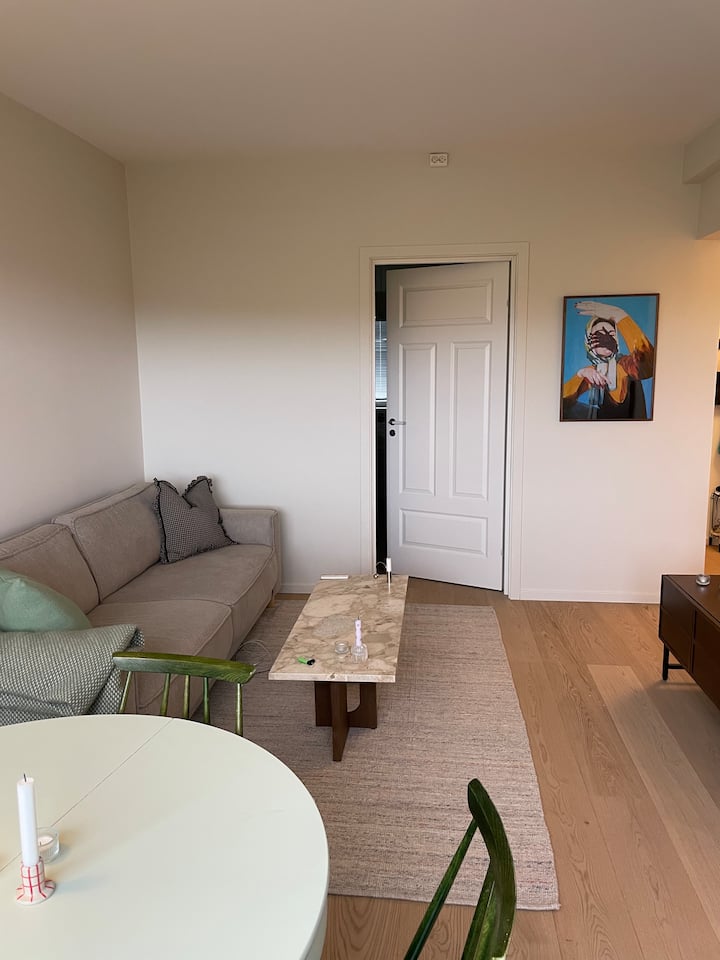 Nyoppusset Solrik Leilighet - Oslo
