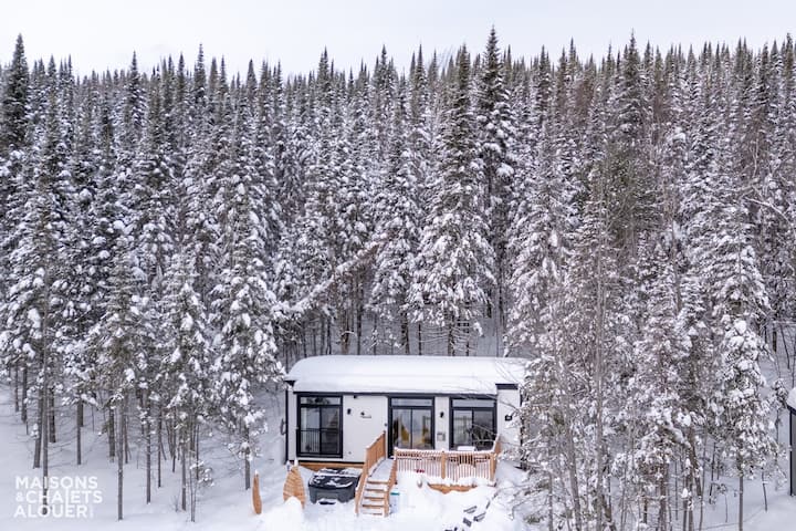 Le Bonheur De Billie | Mini Chalet | Spa | Foyer - Thetford Mines