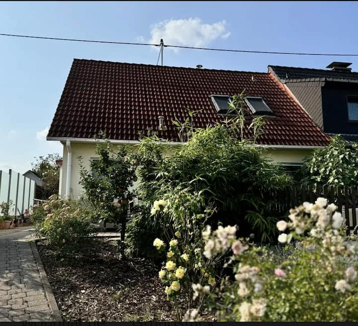 Einliegerwohnung Bohostyle - Koblenz