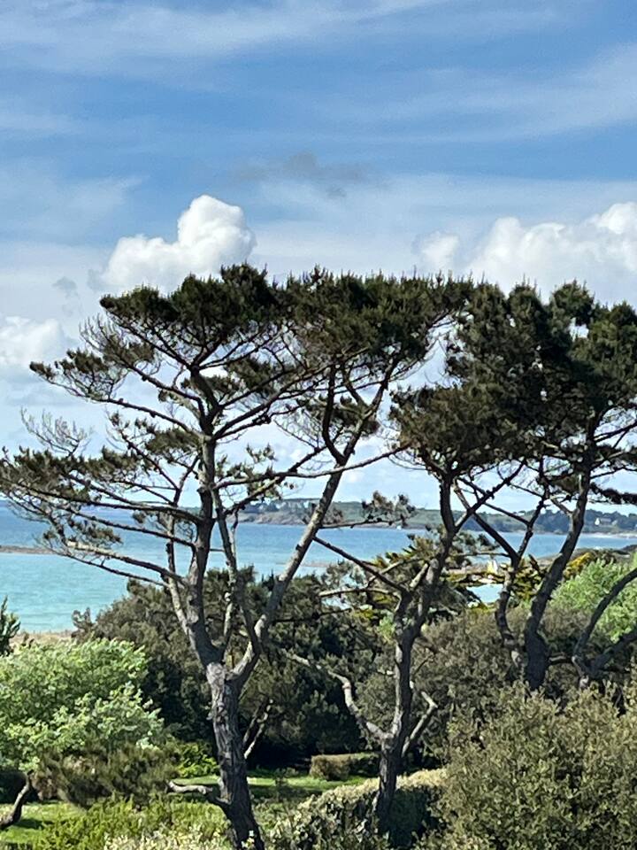 Vue Mer 100m De La Plage - Saint-Gildas-de-Rhuys