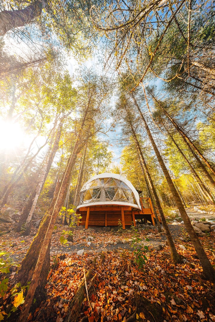The Little Dipper Dome W/ Wood-fired Hot Tub - Minnesota