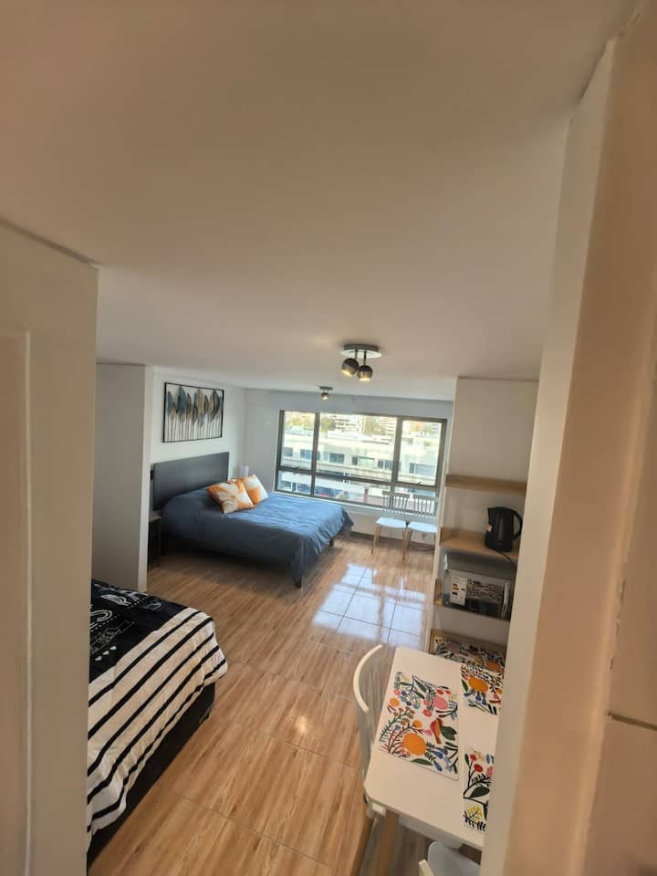 Hermoso Departamento 2 A 4 Pers. Turismo/estancia - Santiago