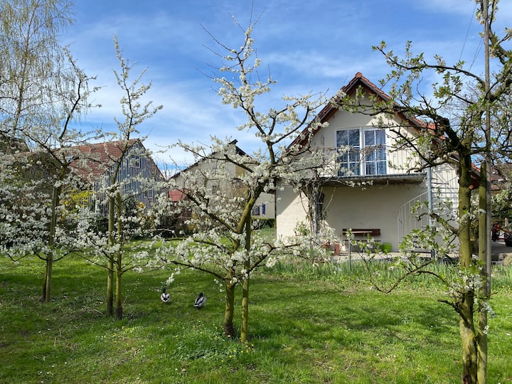 Terrassenzauber
Wohnung Mit Dachterrasse - Langenargen