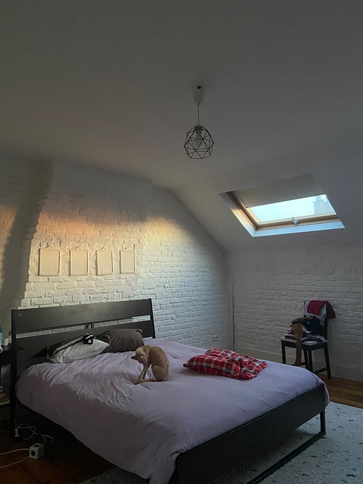 Large Bedroom And Great Location - Bruxelles