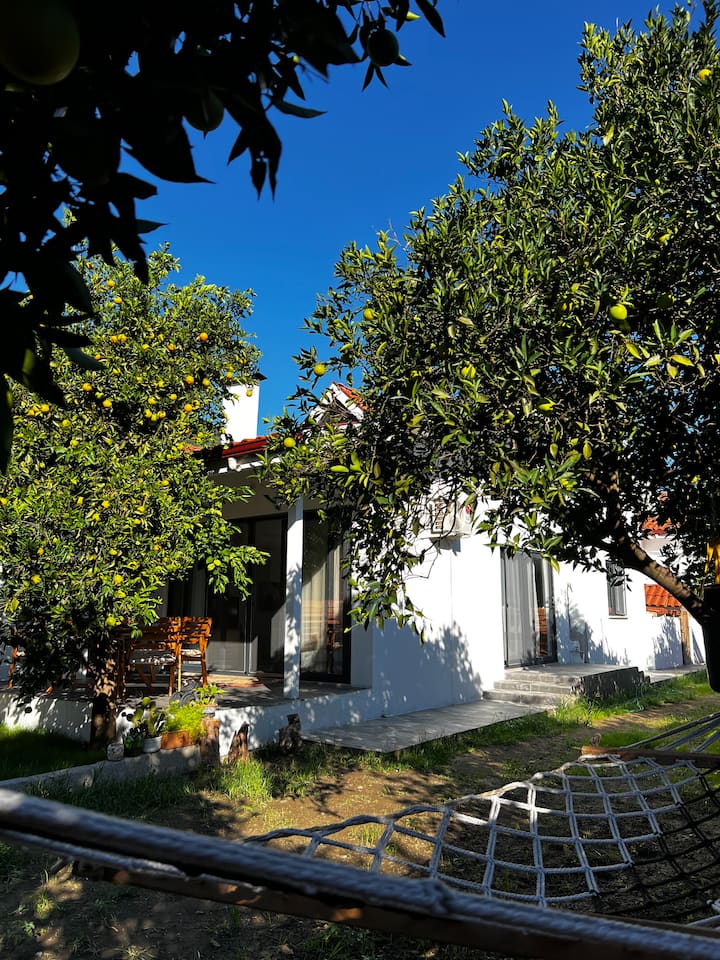 Дом в Цитрусовом саду —  отдых в объятиях природы - Sarıgerme