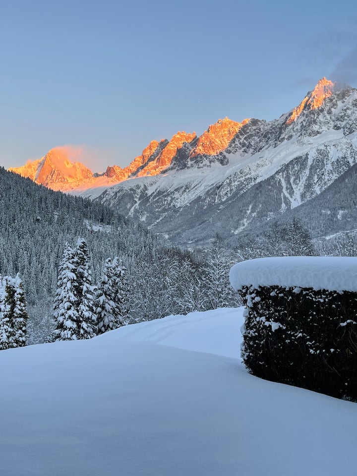 Appartement Sur Piste De Ski Les Houches - Les Houches