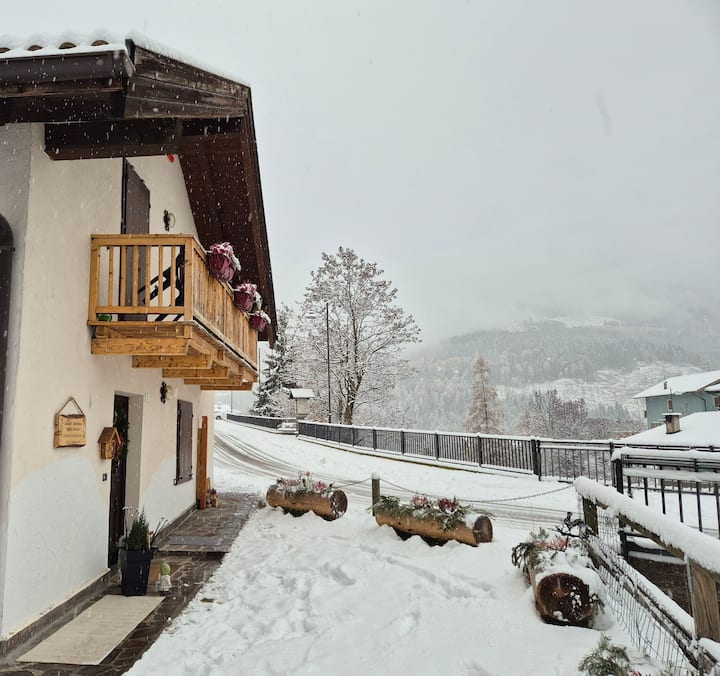 Chalet -Barbara 
Vista Fiume E Montagna - Predazzo