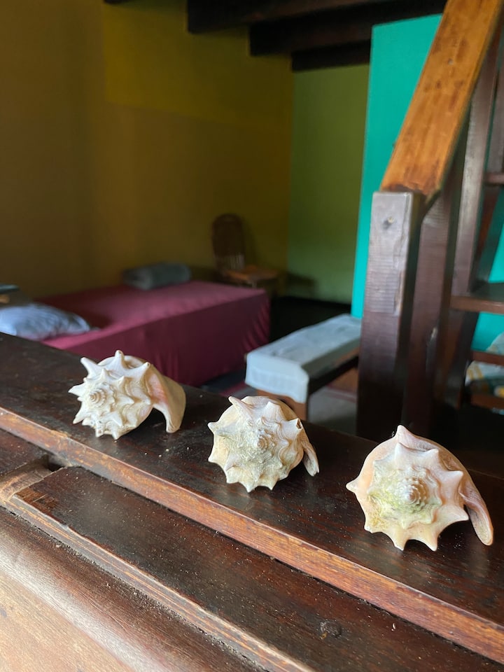 Lindo Lugar Para Descansar Próximo Ao Centro - Paraty