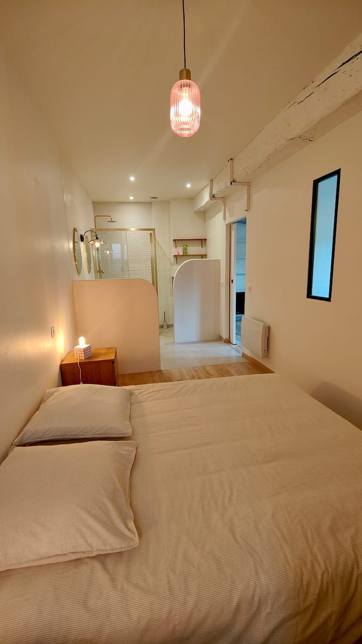 Appartement Bayonne Dans Maison Basque Avec Jardin - Bayonne