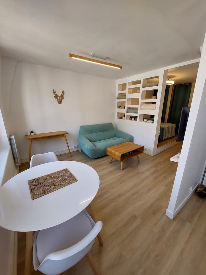 Cosy En Plein Centre De Pau - Pau