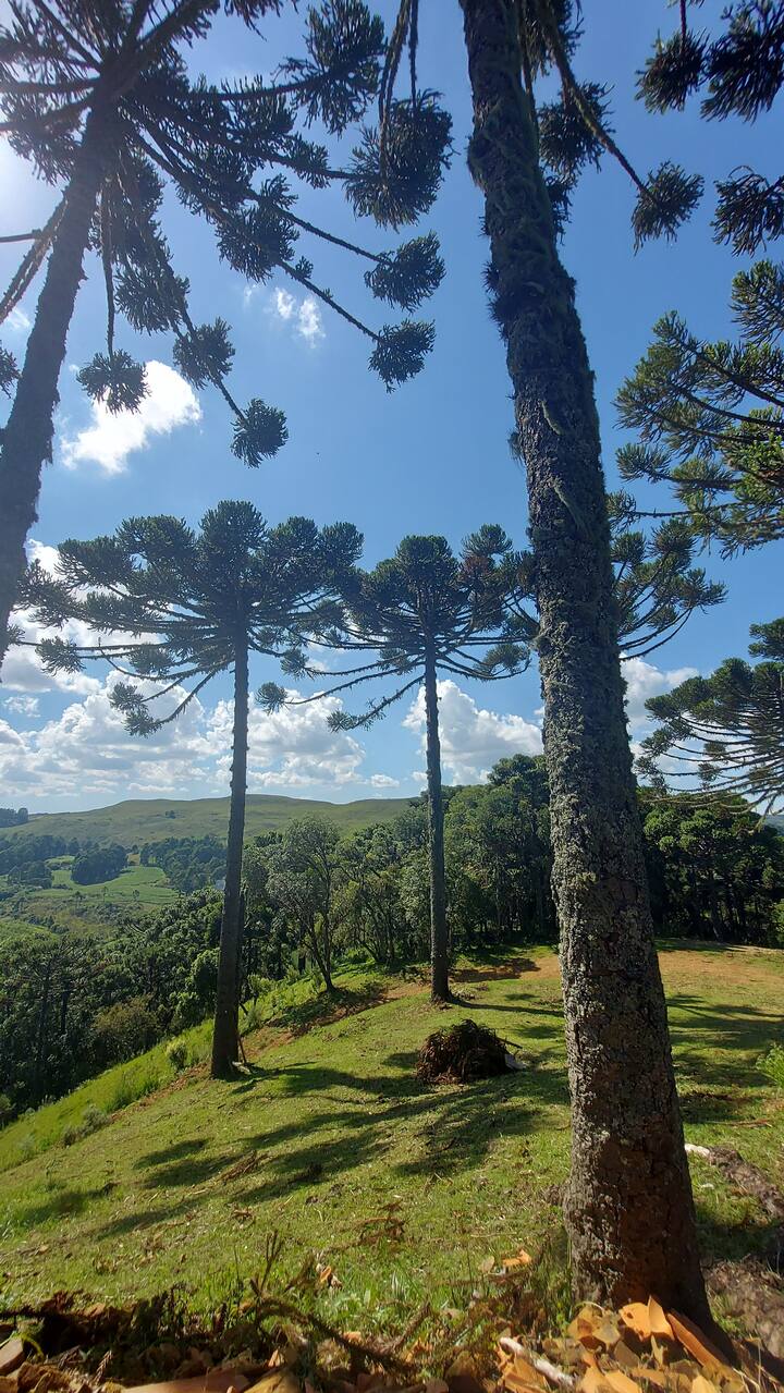 Pousada Mirante Dos Pinheiros - São Joaquim