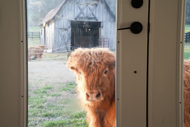 Franklin Farm Cottage | Between Leipers & Franklin - 