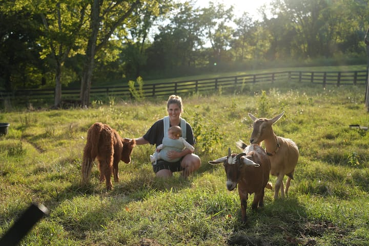 Farm Stay | Sauna+gym | Between Leipers & Franklin - Franklin, TN