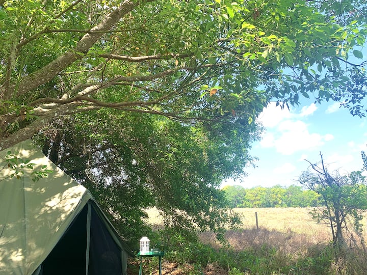 Beautiful Countryside Glamping - Simpson Lakes