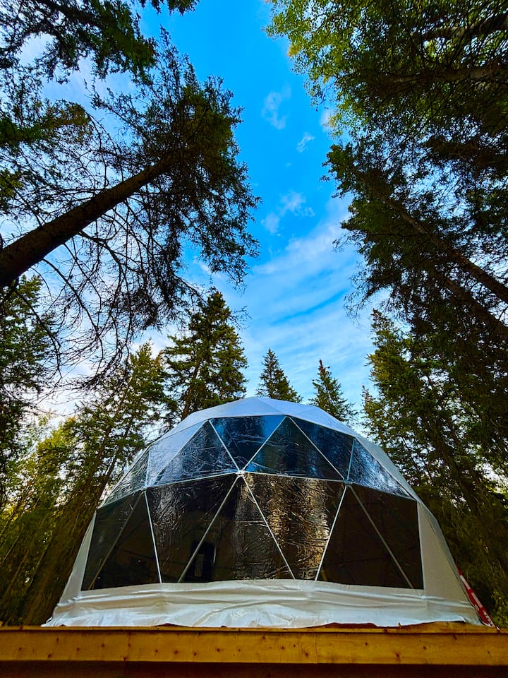 Four Pine Valley - Alberta