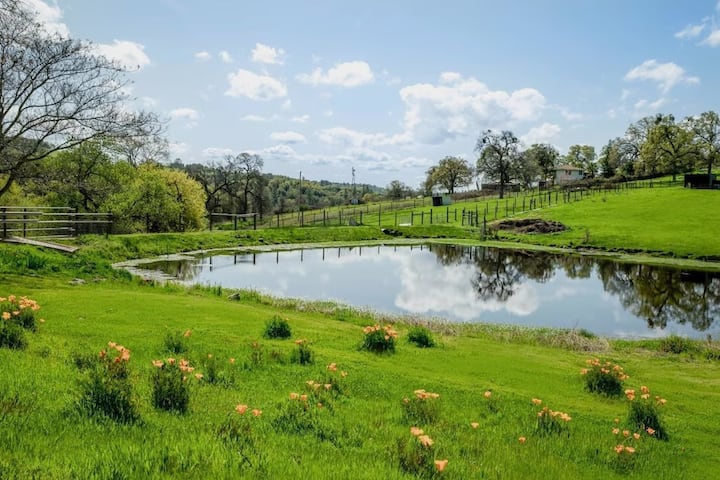Cozy Farm Escape W/ Private Sauna & Baby Goats - California