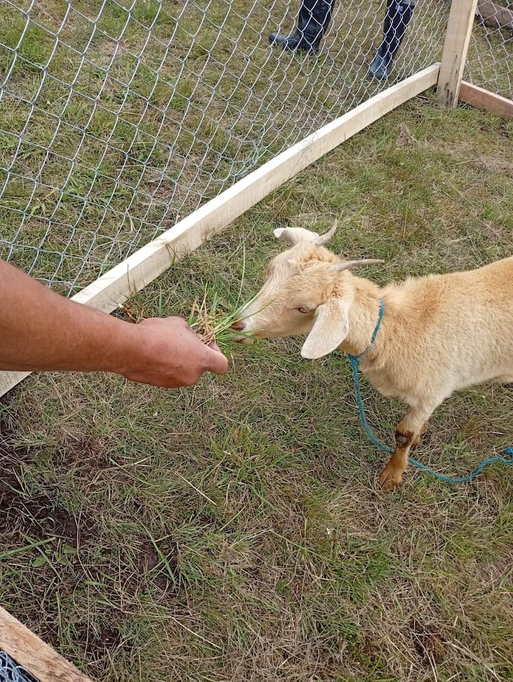 Cabaña Con Vista Al Lago - Guatavita