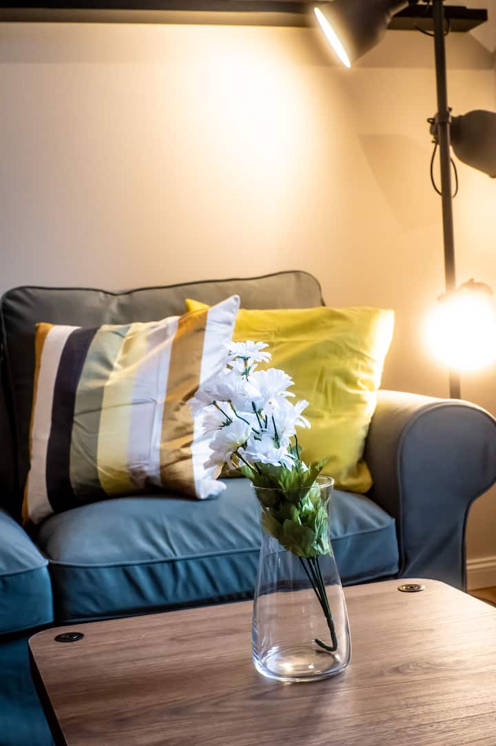 003 - Denkmal - 1 Sz - 2 Betten - Grosser Wohn-/es - Friburgo, Alemania