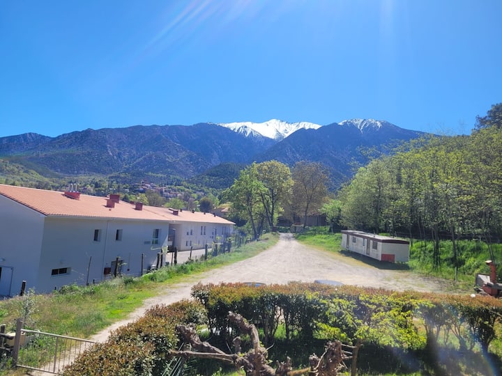 Le Nid Du Canigou - Vernet-les-Bains