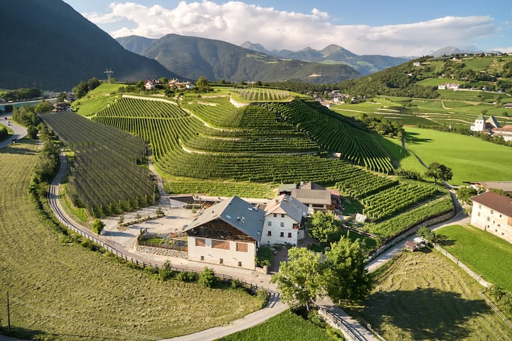Griesserhof - Winery Apartment Sylvaner - Neustift