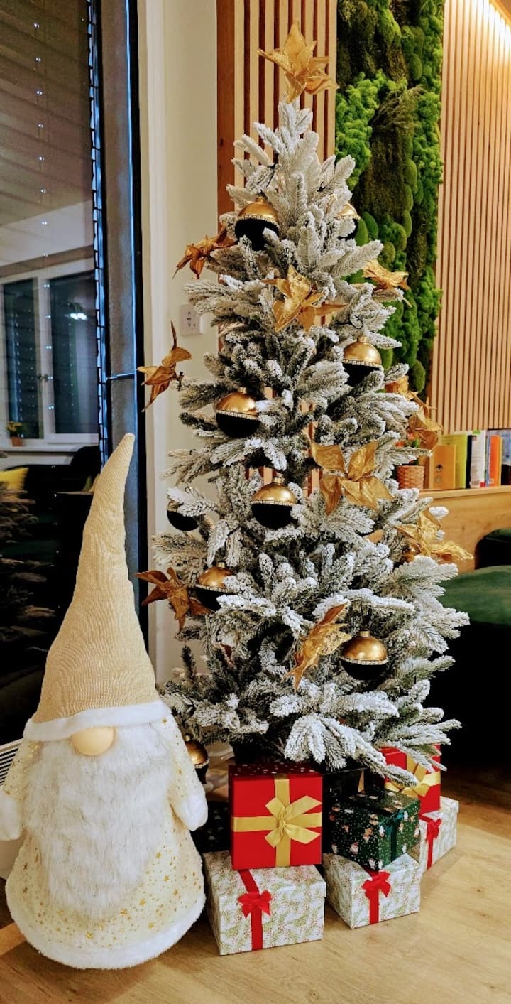 Family Space With Free Parking & Air Condition - ブルノ