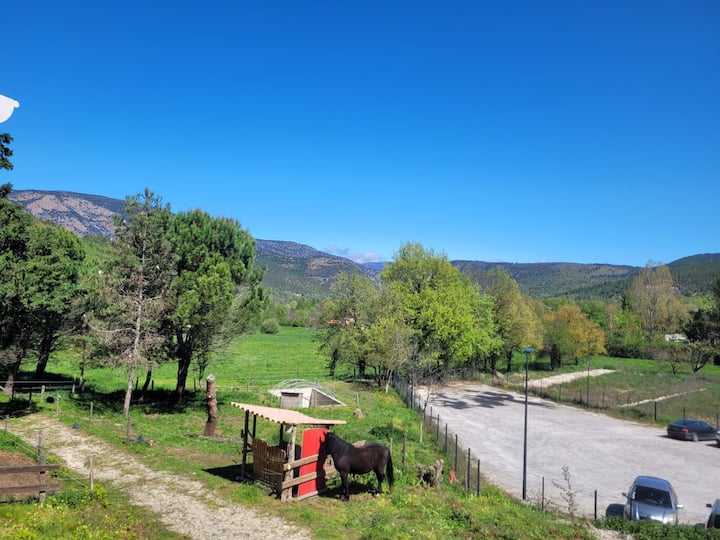 La Coloc Du Canigou - Vernet-les-Bains