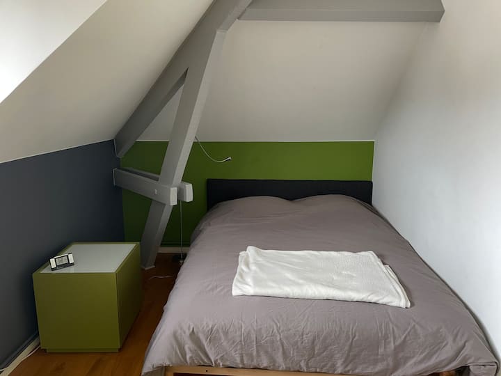 Vaste Chambre Dans Une Maison - Thionville