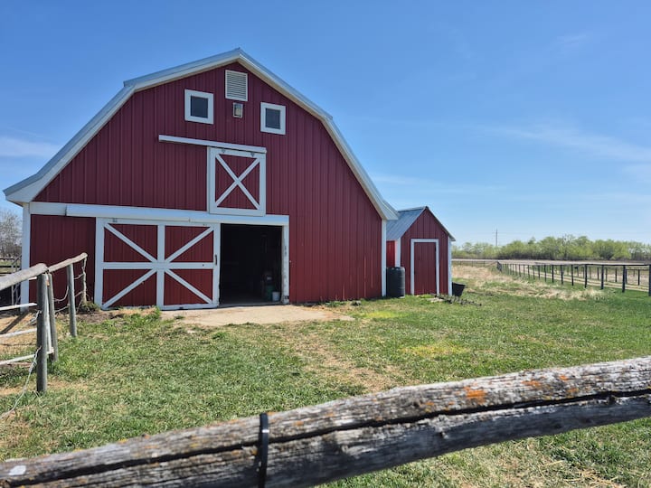 Horse Stop - Saskatchewan