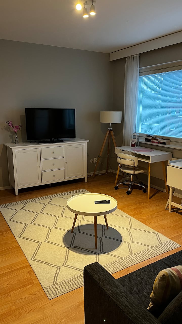 Huoneisto Ydinkeskustassa - Riihimäki