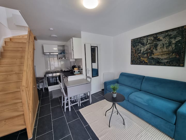 Appartement Duplex - Le Blanc-Mesnil