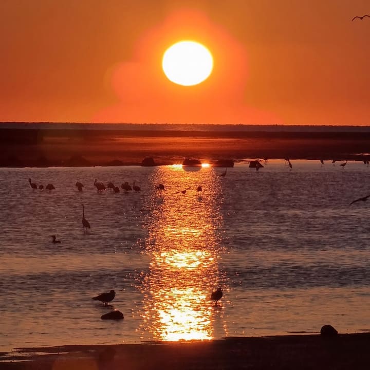 A La Plage - La Franqui