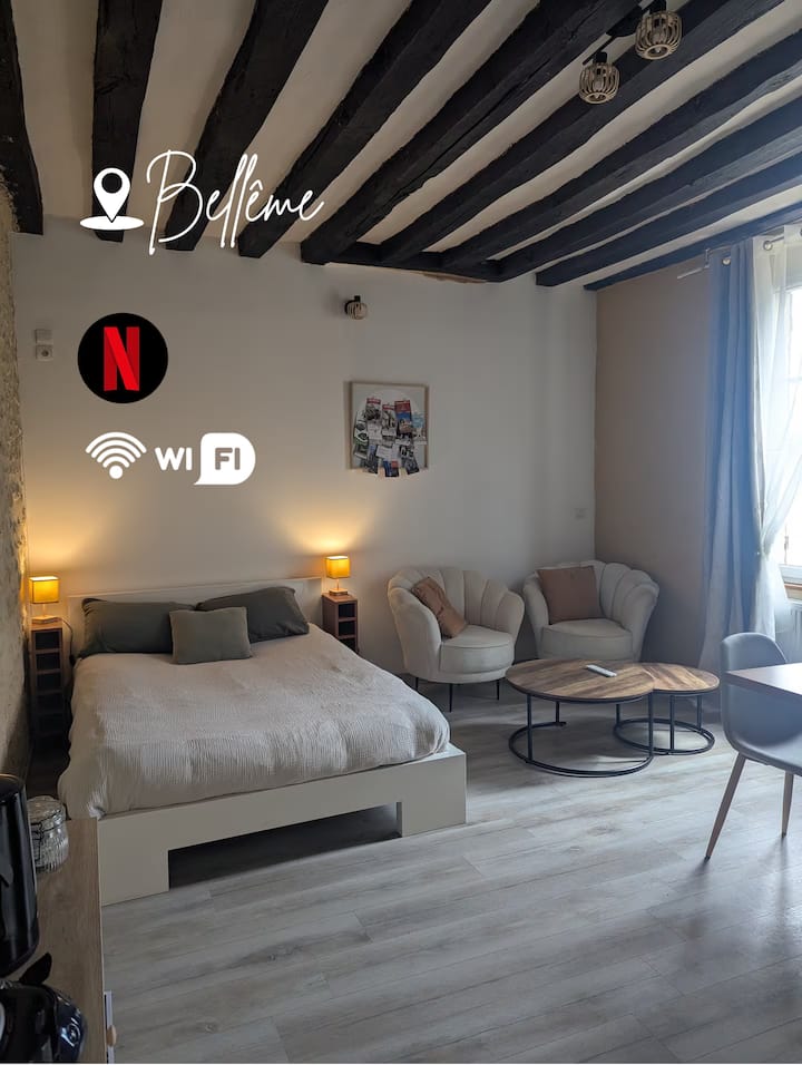 Studio En Centre-ville, Wifi Et Netflix - Bellême