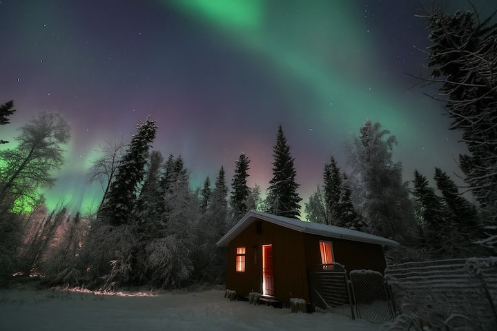 Birch + Bjørn Tiny Home | Auroraviewing | Sun Deck - Alaska