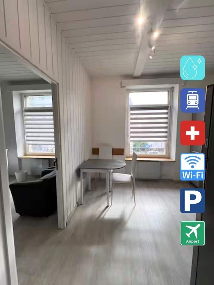 T1 Cosy & Meublé, 5*, 300 M De Bâle - Bâle