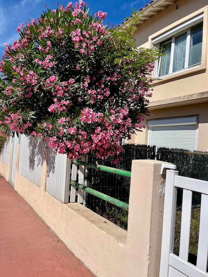 Appartement Avec Jardin - Canet-en-Roussillon