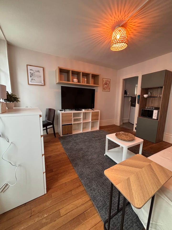 Appartement Au Centre-ville. - Fontainebleau