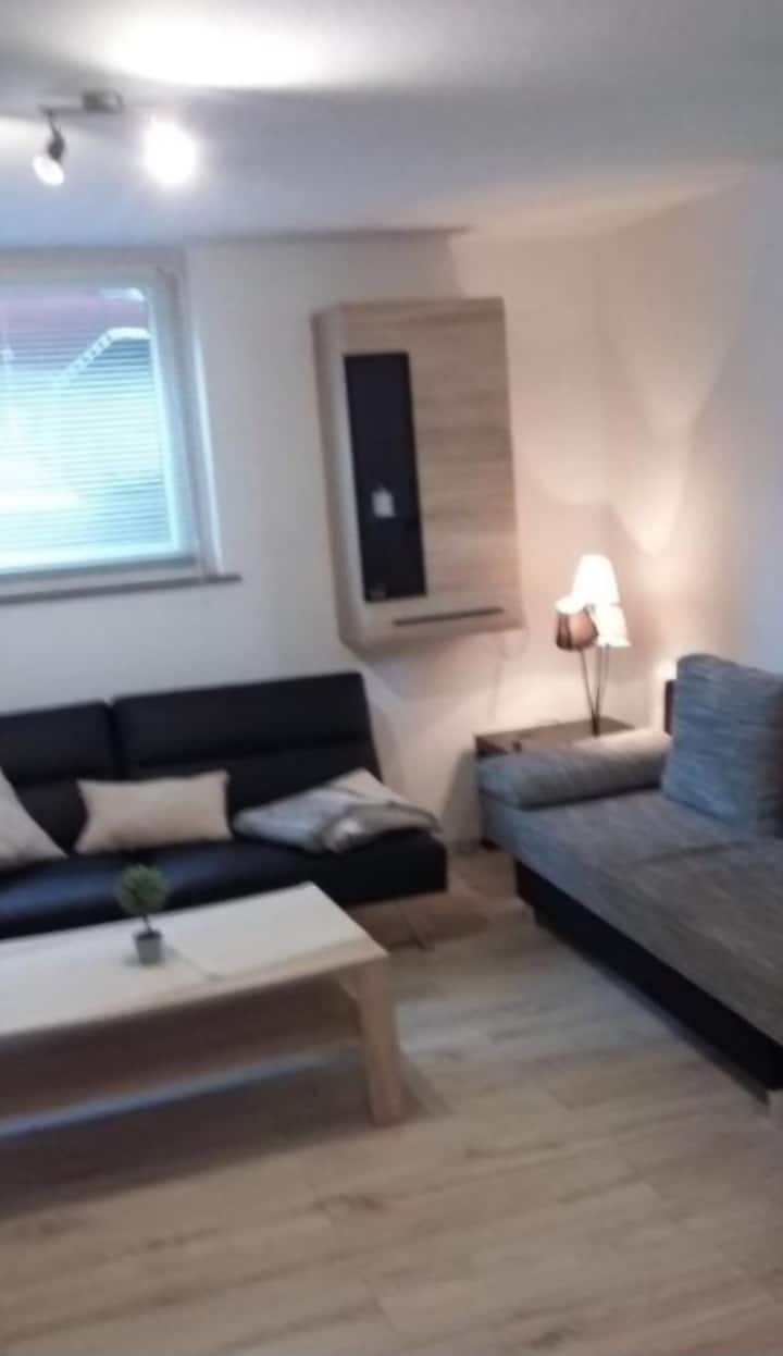 Großes Apartment Direkt An Der Messe - Hannover