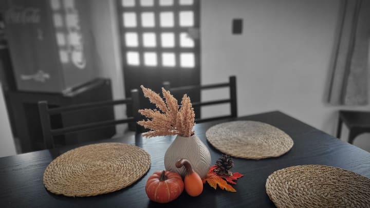 Depa Ideal Excelente Ubicación - Aguascalientes