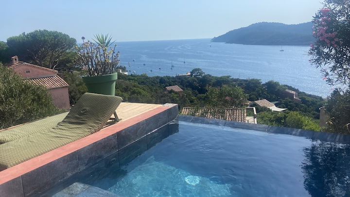 1 Chambre Avec Piscine - Hyères