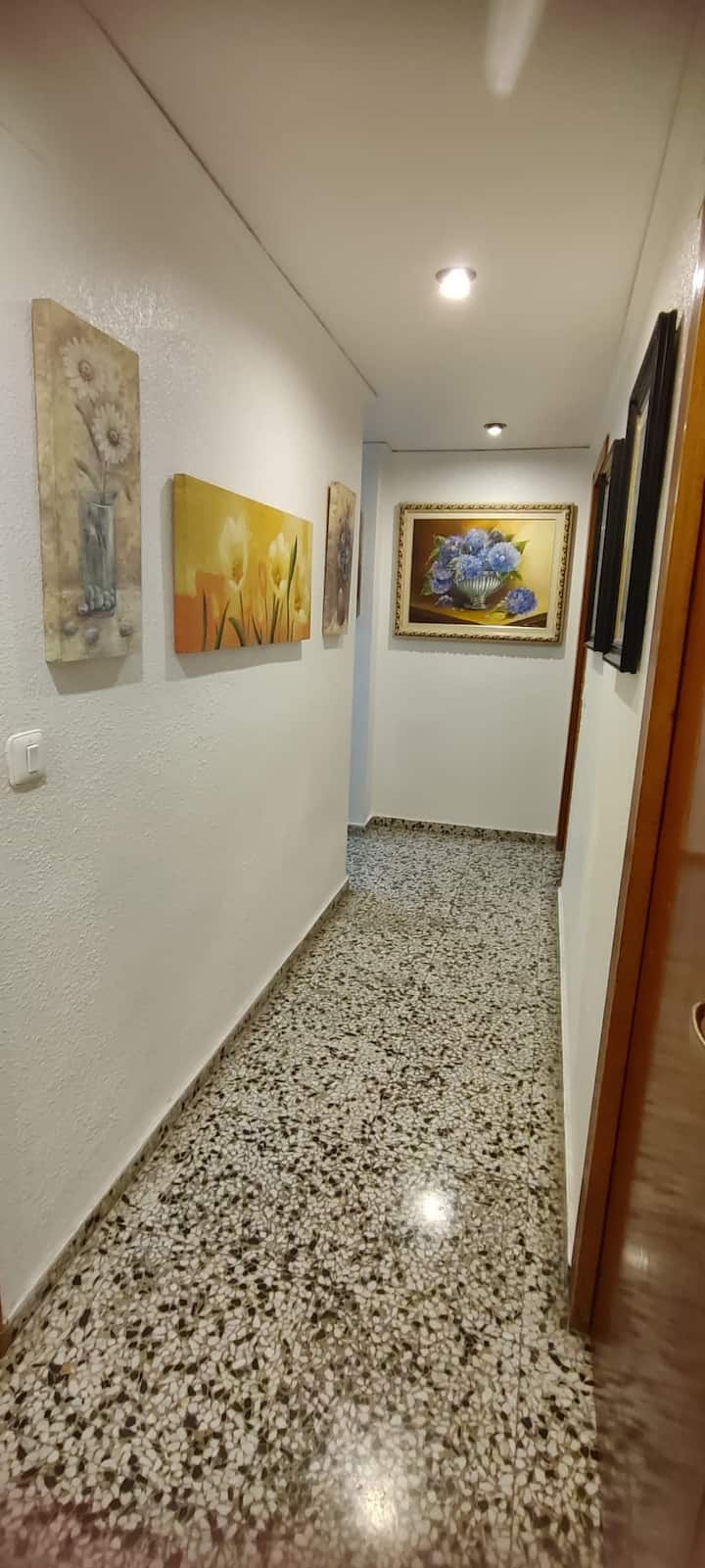 Situé-en-centre-ville - Gandia