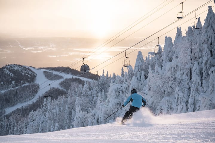 Le Panache Alpin |Spa & Montagne |Condo-chalet - Magog