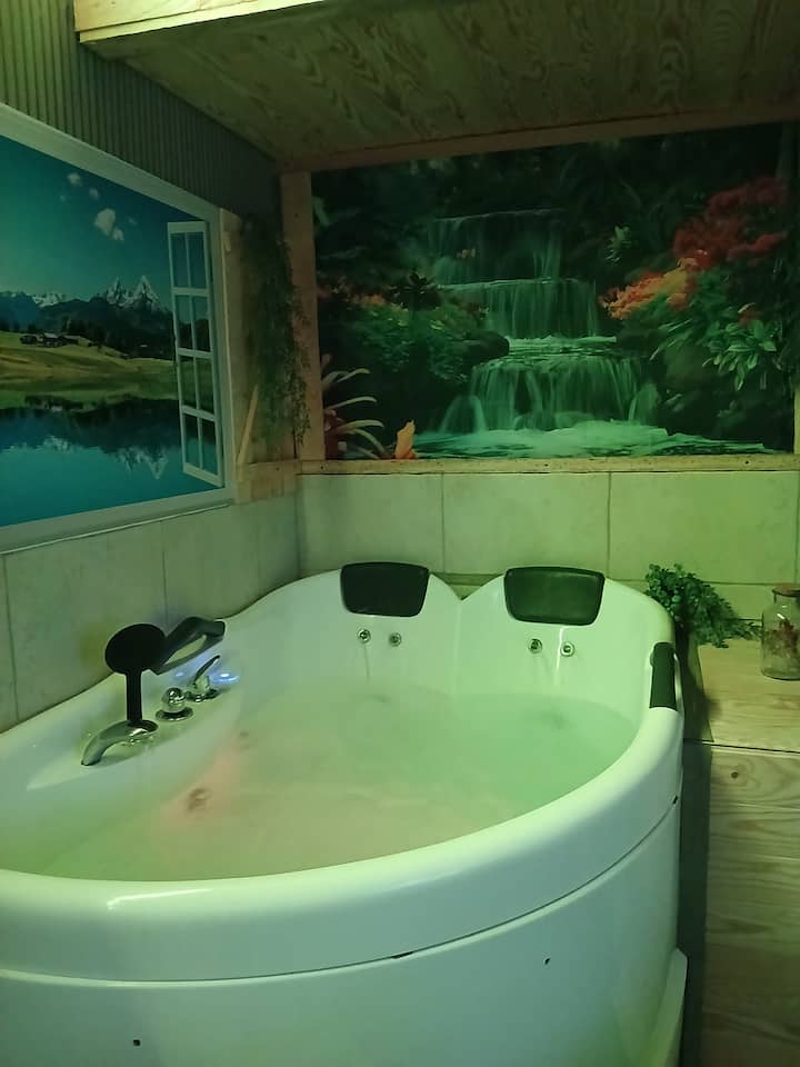 Chambre Insolite. Le Mont Dore - La Bourboule